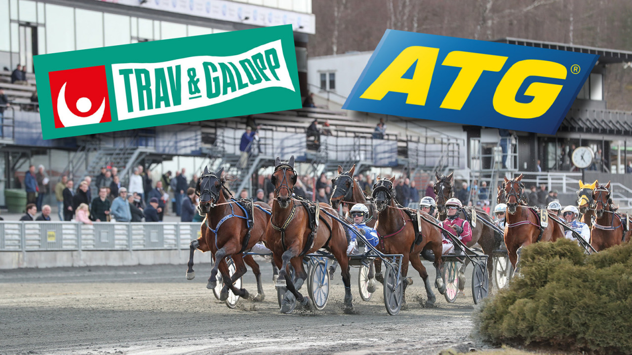 Tramsig lek med travets pengar - Sulkysport