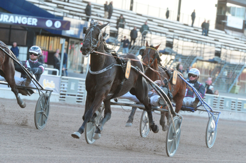 V75: Hästen som vägrar ge sig - Sulkysport