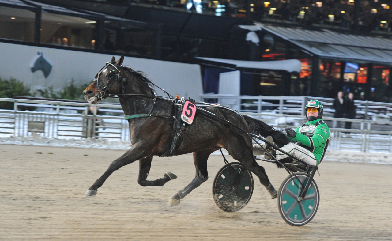 V75: Hästen som vägrar bli gammal - Sulkysport