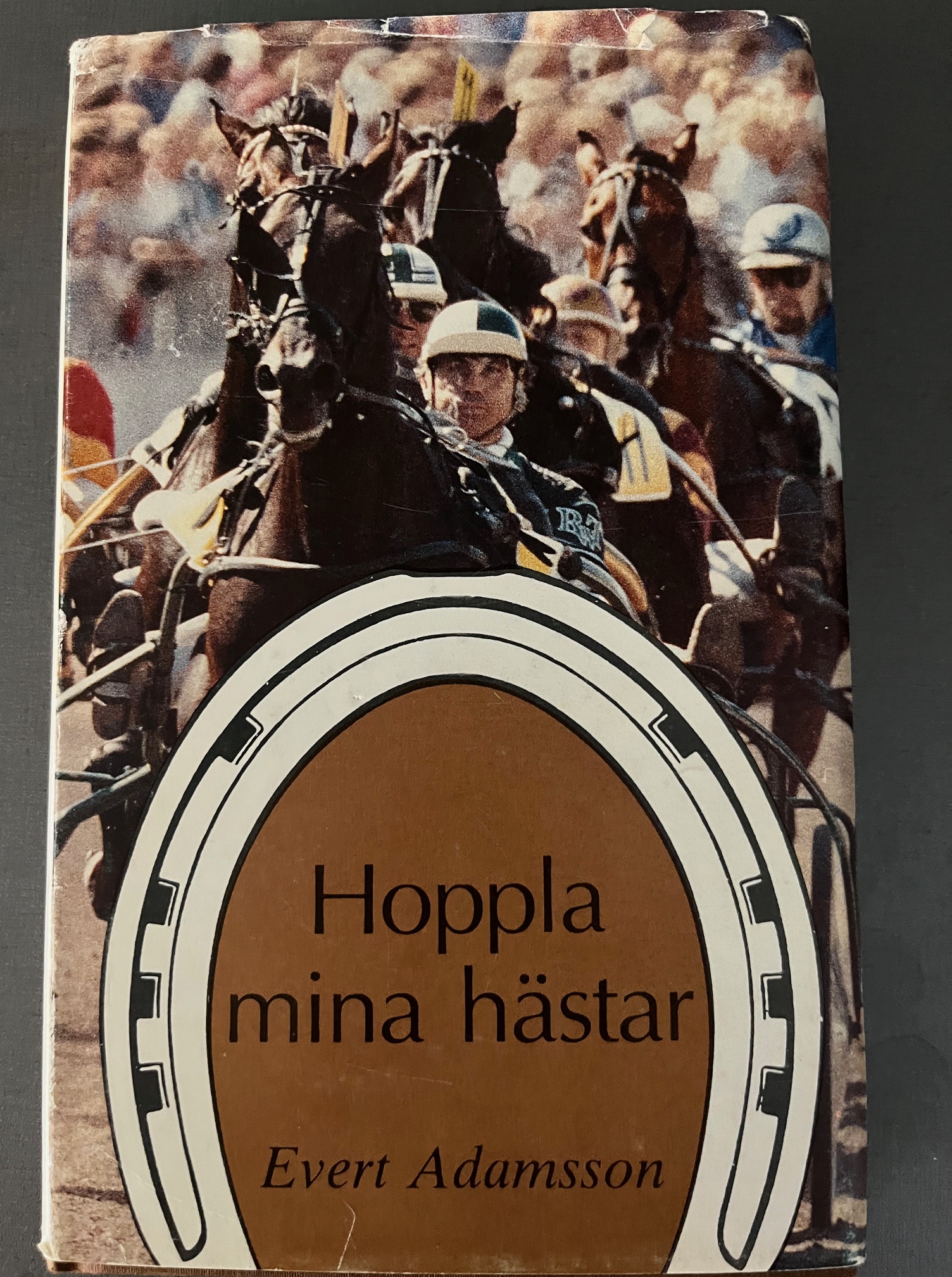 ”Halta hästar och odugliga kuskar” - Sulkysport