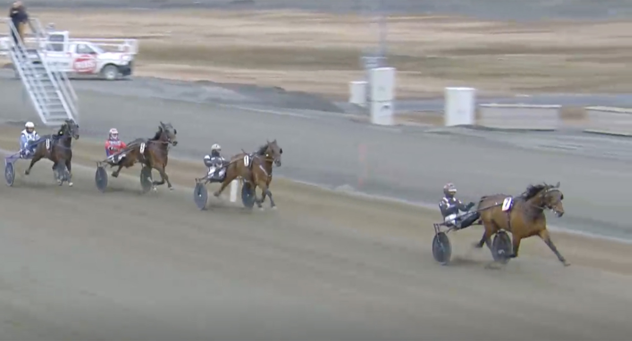 Svensk satte banrekord - Sulkysport