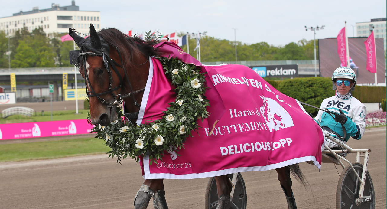 Allegiant i årsdebut - Sulkysport