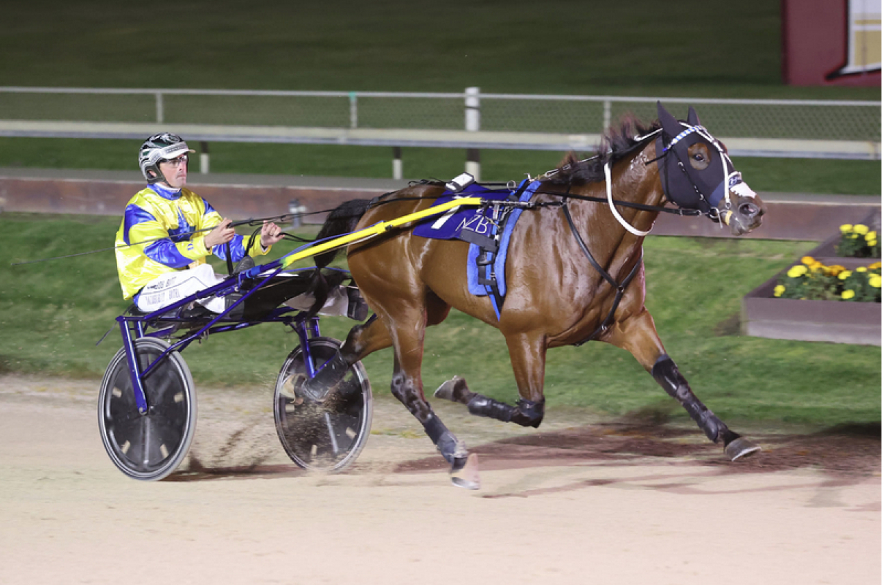 Spetssegrar i Australien - Sulkysport