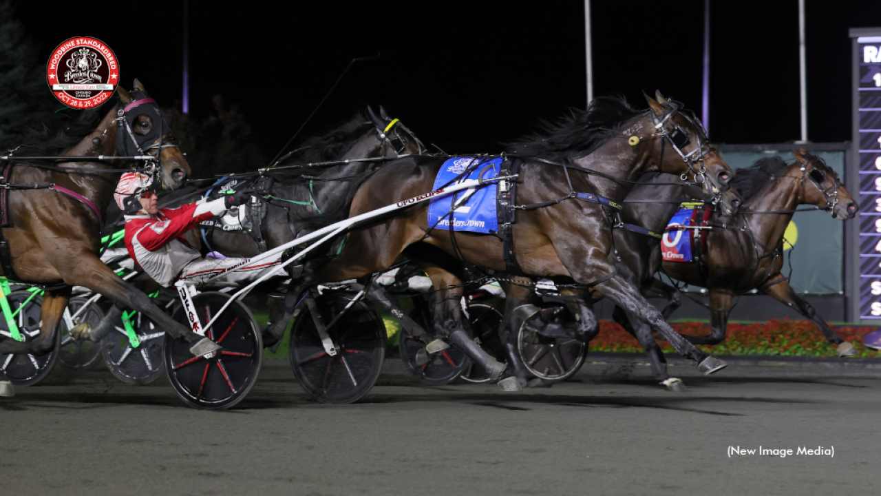 Svenska hingstar i Breeders Crown - Sulkysport